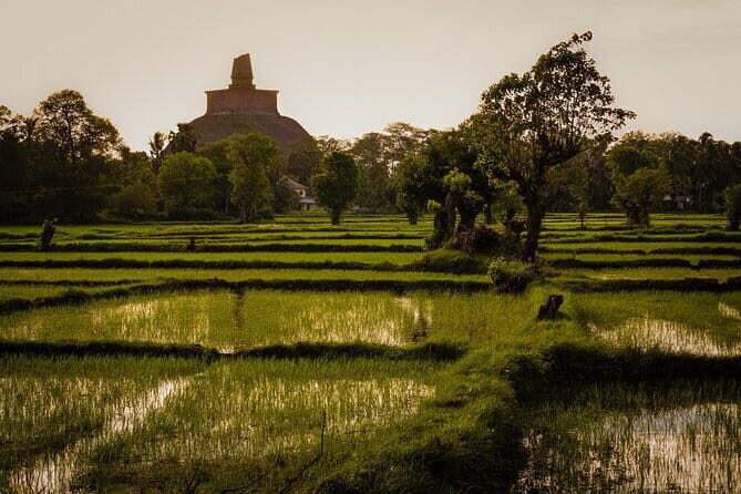 Day Excursions to UNESCO City ANURADHAPURA from Negombo - The Itinerary: A Closer Look