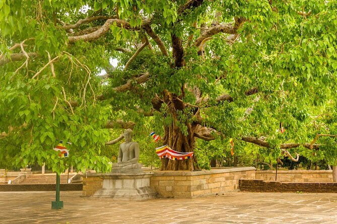 Day Excursions to UNESCO City ANURADHAPURA from Negombo - Frequently Asked Questions