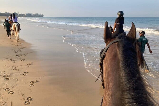 Day execution from colombo to galle - Who Should Consider This Tour?