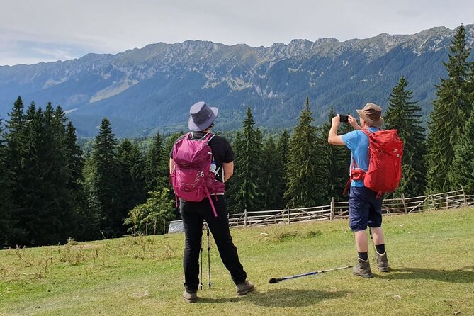 Day Hike in Carpathian Mountains for All Levels in Five Areas - Choosing the Right Hiking Route