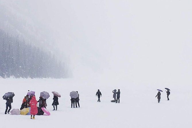 Day Hike in Lake Louise - The Sum Up