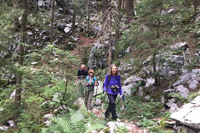 Day Hike in National Park Risnjak from Zagreb - Key Points