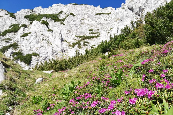 Day Hike PRIVATE - Piatra Craiului National Park - Customizable Routes for All Levels