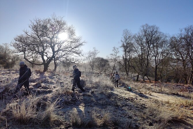 Day Hike: The Brecon Beacons Amazing Six Waterfalls - Traveler Reviews Highlights