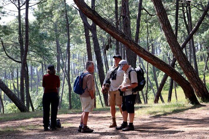 Day Hiking from Chandragiri Hill to Hattiban from Kathmandu - The Itinerary in Detail: From Cable Car to Mountain Trails