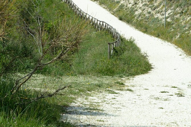 Day in Guided Tour in the Balcony of Wonders - Key Points