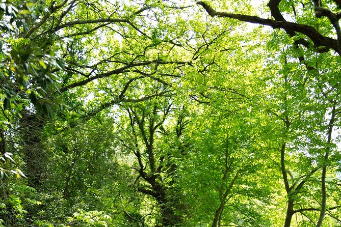 Day in Guided Tour in the Balcony of Wonders - Who Will Appreciate This Tour?
