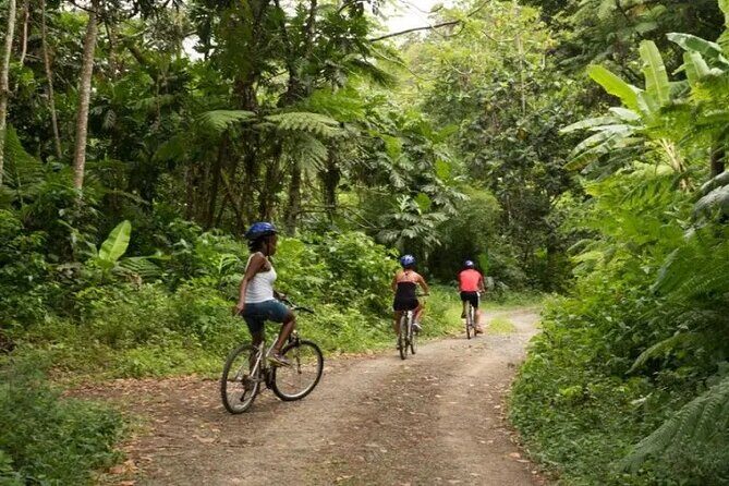 Day of Adventure - Zipline and Hike or Bike - Value for Money and Practical Details