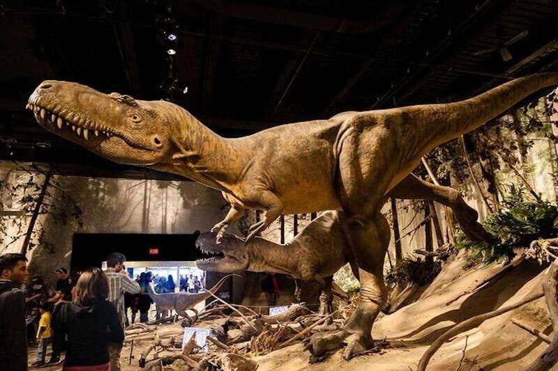 Day of Dinosaurs and Hoodoos From Calgary to the Badlands - An Overview of the Itinerary