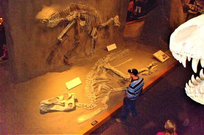 Day of Dinosaurs and Hoodoos From Calgary to the Badlands - The Experience: Pros and Cons