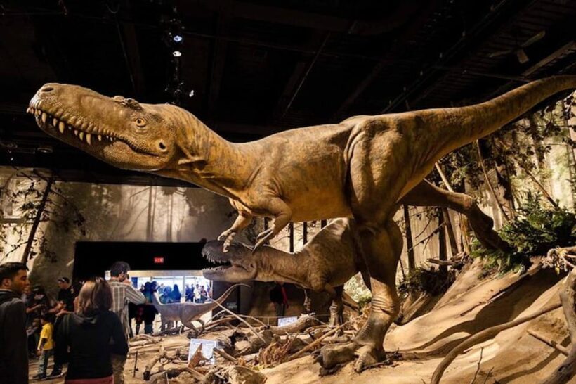 Day of Dinosaurs and Hoodoos From Calgary to the Badlands - Final Thoughts: Who Should Consider This Tour?