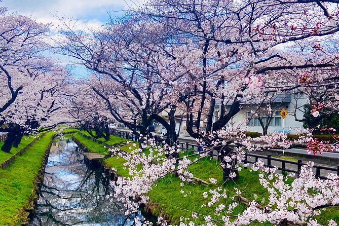 Day of Edo Exclusive Tour at Kawagoe - FAQ