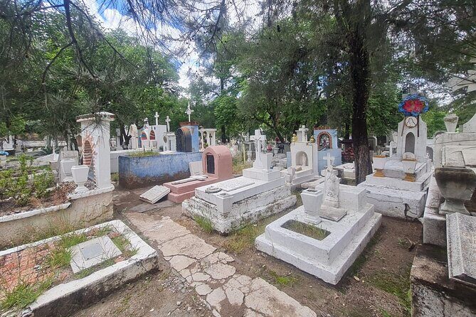 Day of the Dead Walking Tour in San Miguel de Allende - The Sum Up