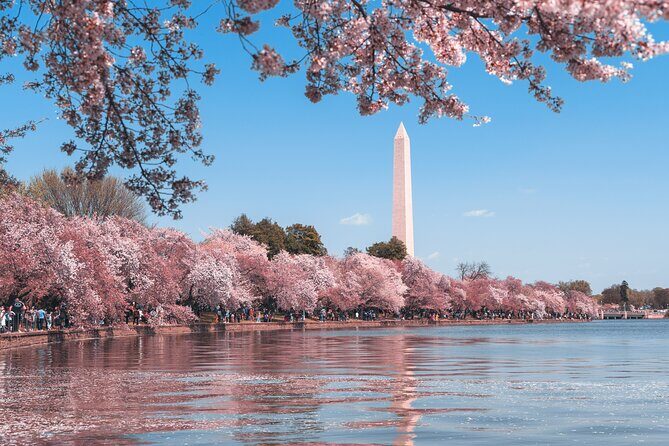 Day or Night Private DC Monuments Tour | Luxury Stretch Limo - Who Will Love This Tour?