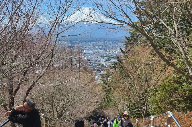 Day Private Tour of Hakone With English Speaking Driver - Customizable Itinerary Based on Interests