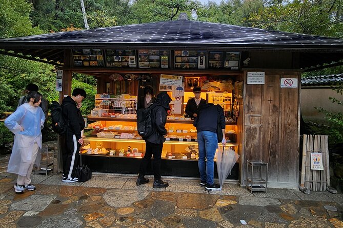 Day Private Tour of Kyoto City With English Speaking Driver - Experiencing Japanese Hospitality