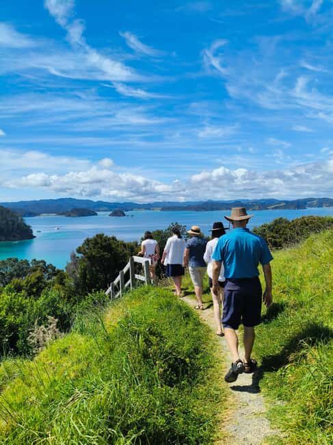 Day Sailing Charter on Catamaran with Lunch : Bay Of Islands - Key Points