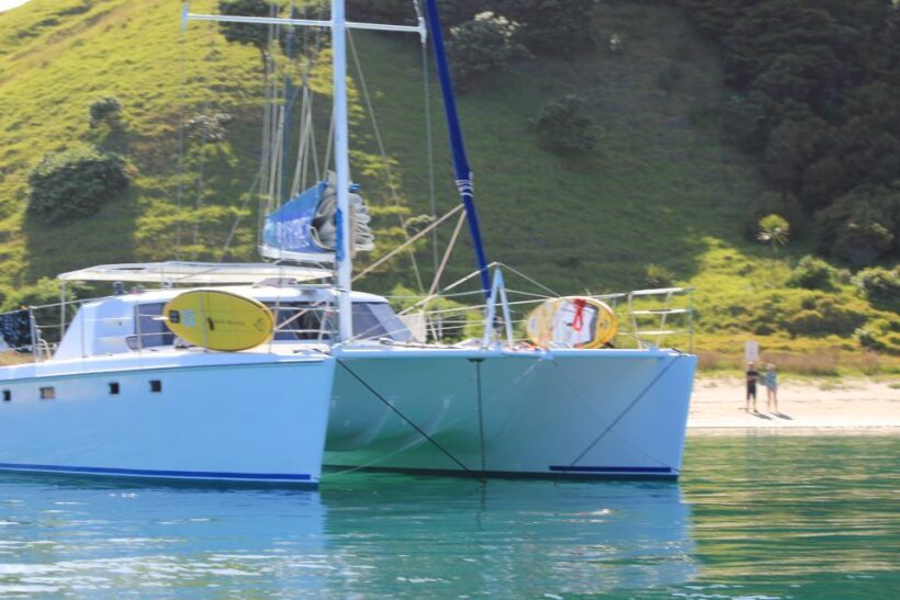 Day Sailing Charter on Catamaran with Lunch : Bay Of Islands - Practical Tips for Travelers
