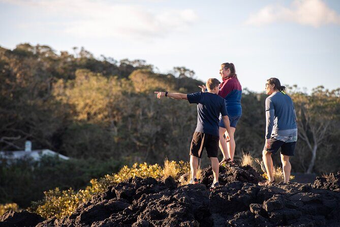 Day sea kayak tour Rangitoto Island - Key Points