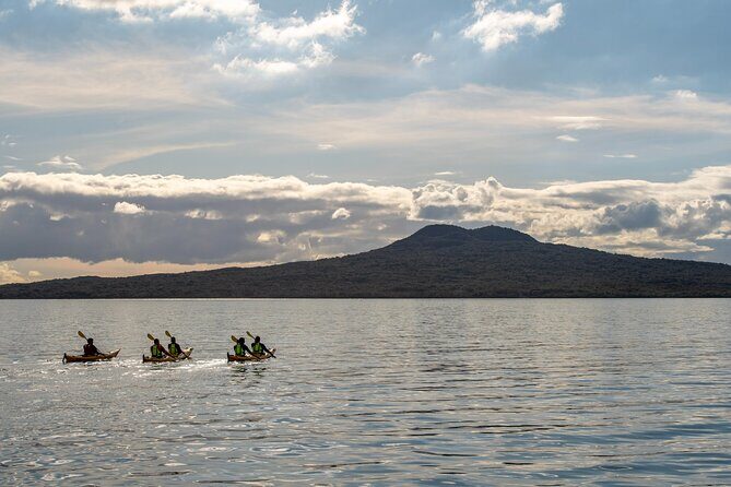 Day sea kayak tour Rangitoto Island - The Sum Up