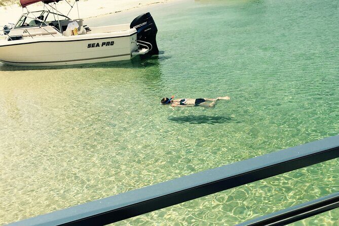 Day Snorkeling Tour in Orange Beach - The Reality Behind the Promises