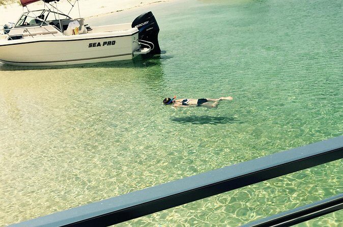 Day Snorkeling Tour in Orange Beach - Who Will Love This Tour?