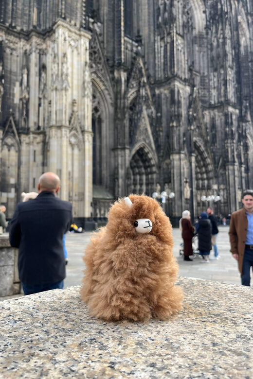 Day tour Aachen & Cologne from Brussels - Who Will Love This Tour?