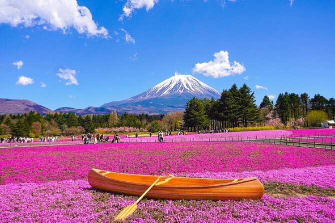 Day Tour at Mt. Fuji, Kawaguchi Lake and Oshino Hakkai in Tokyo - Inclusions and Transportation