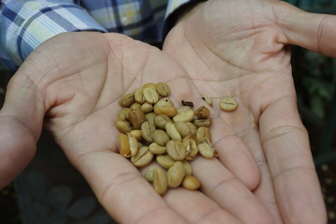 Day Tour: Doka Estate, Poás Volcano and La Paz Waterfalls - Key Points