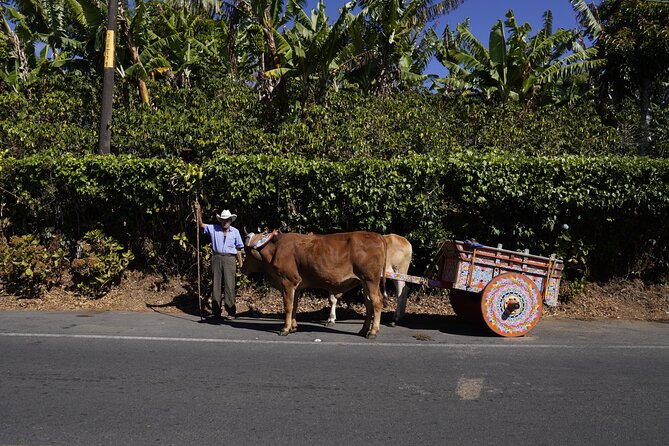 Day Tour: Doka Estate, Poás Volcano and La Paz Waterfalls - Group Size and Accessibility