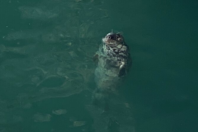 Day Tour from Dublin to Wicklow: Cliffs, Heritage, Wildlife, Gaol - The Sum Up