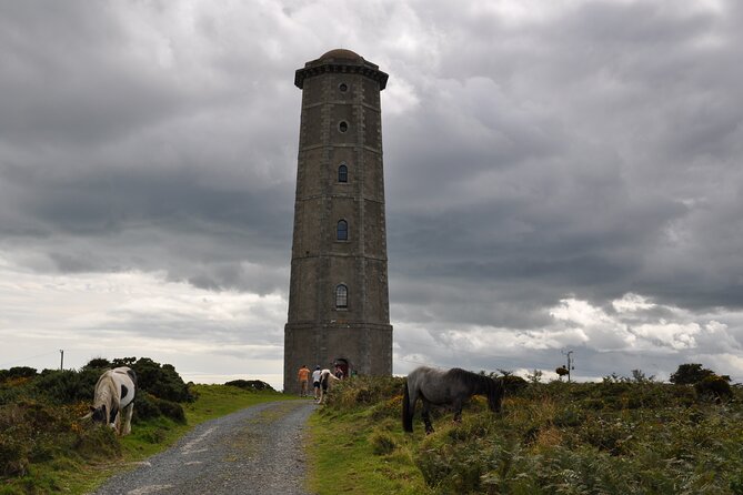 Day Tour from Dublin to Wicklow: Cliffs, Heritage, Wildlife, Gaol - FAQ