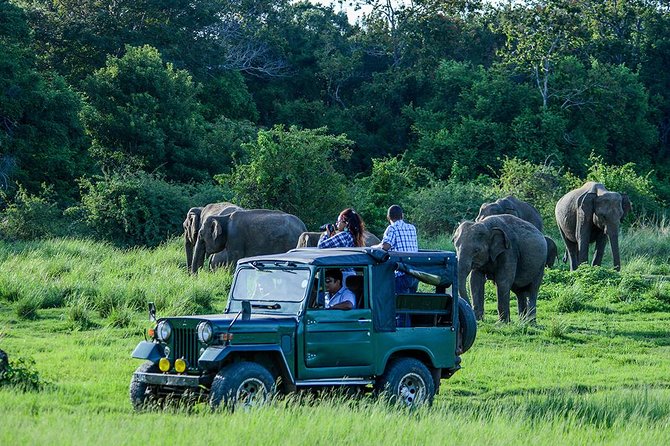Day Tour from kandy to Sigiriya, Dambulla & National Park safari. - Why This Tour Offers Good Value