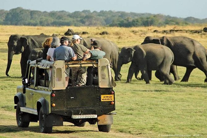 Day Tour from kandy to Sigiriya, Dambulla & National Park safari. - Who Should Consider This Tour?