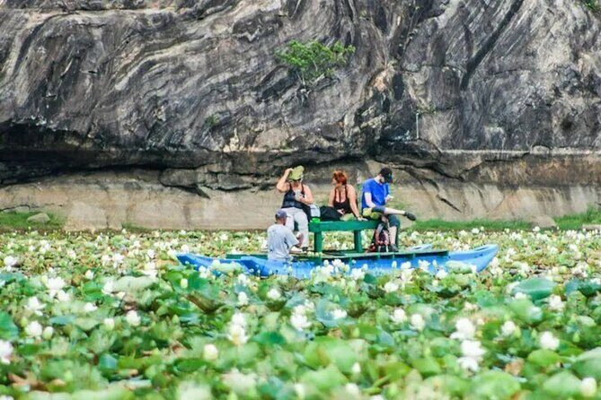 Day tour from Kandy to Sigiriya, Dambulla & Polonnaruwa - An Overview of the Itinerary and What to Expect