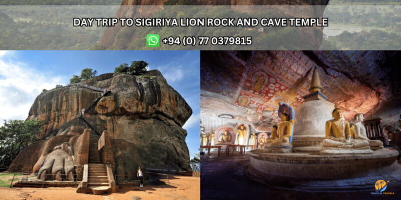 Day Tour from Kandy:Explore Sigiriya Lion Rock & Cave Temple - The Value of This Tour