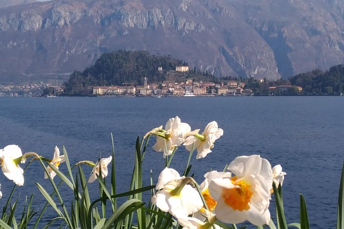 Day Tour From Milan: Lake Como & Bellagio With Cruise in a Small-Group Tour - Historic Charm of Como