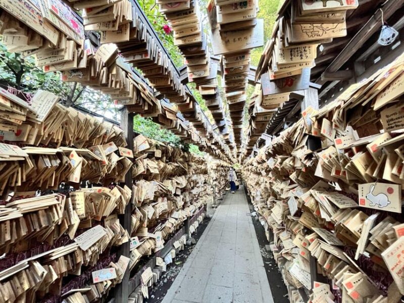 Day Tour From Tokyo : Experience Kawagoe and Edo Japan - Key Points