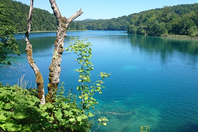 Day Tour from Zadar to Plitvice Lakes - Authentic Experiences and Traveler Feedback