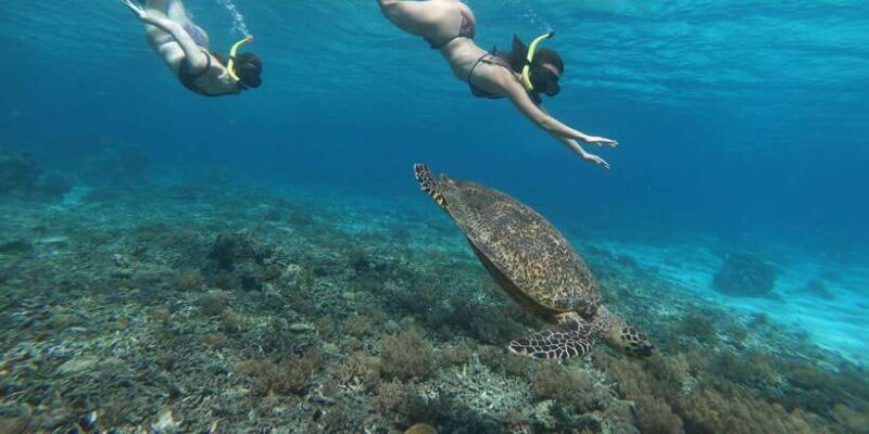 Day Tour Gili Trawangan, Gili Meno, Gili Air (Depart Lombok) - Snorkeling at the Gili Islands: Underwater Highlights