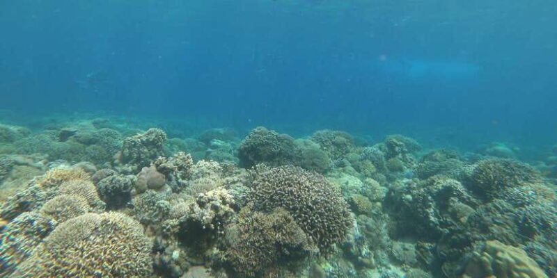 Day Tour Gili Trawangan, Gili Meno, Gili Air (Depart Lombok) - Return Journey and Drop-off