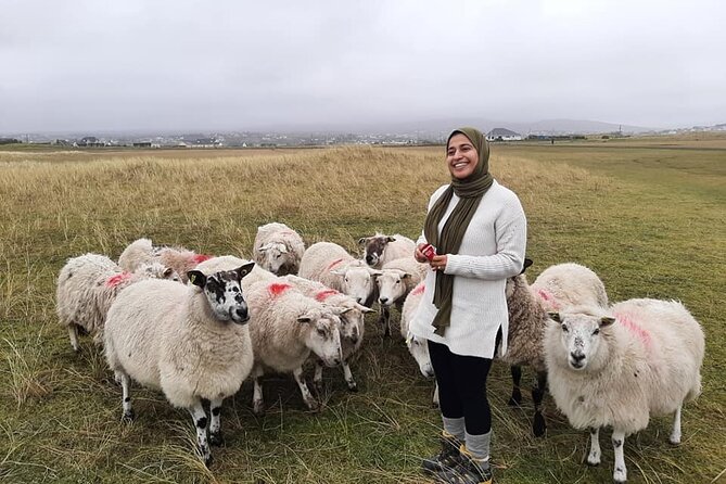 DAY TOUR: Highlights Of South Donegal - Booking and Pricing