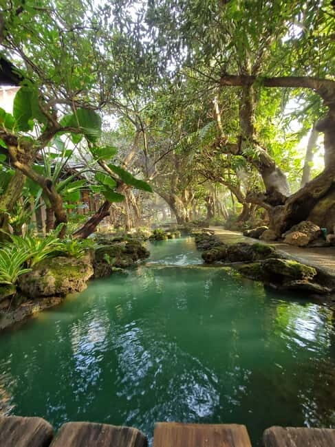 Day Tour in Chiang Mai I Sticky Waterfall & Land of Angels - Exploring the Itinerary in Detail