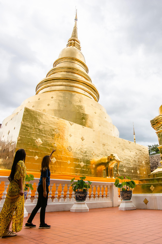 Day Tour in Chiang Mai I Waterfall I Dantewada I Doi Suthep - Who Will Enjoy This Tour?