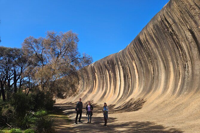 Day Tour in Wave Rock and Mulka's Cave - Key Points