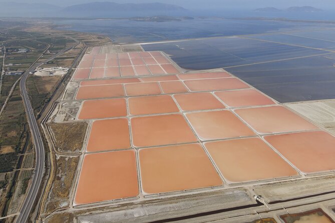 Day Tour of Apollonia Park, Vlore and Narta From Tirana&Durres - Tour Schedule and Logistics