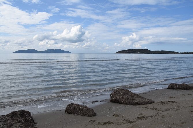 Day Tour of Apollonia Park, Vlore and Narta From Tirana&Durres - Visiting Narta Lagoon