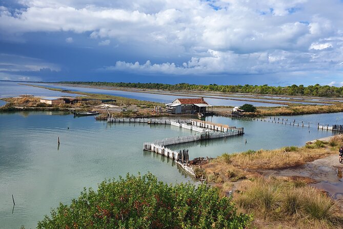 Day Tour of Berat and Karavasta Lagoon From Tirana&Durres - Details on Pickup and Departure