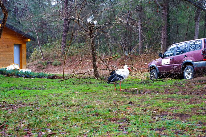 Day Tour of Berat and Karavasta Lagoon From Tirana&Durres - Adventure in Karavasta Lagoon