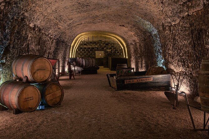Day Tour of Chateaux of Chenonceau, Chambord & Caves Ambacia From Tours/Amboise - Wine Tasting at the Caves Ambacia